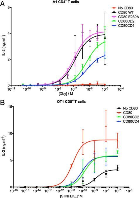 Elongation Of Cd80 Abrogates Costimulation Cho Cells Expressing Ie K Download Scientific