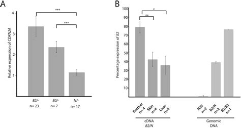 The Evolution Of Sex Linked Barring Alleles In Chickens Involves Both