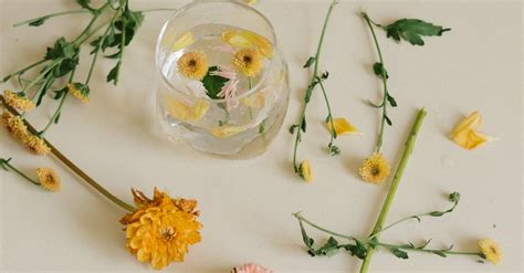 국화 깨끗한 꽃 꽃 장식 꽃 줄기 꽃꽂이 꽃무늬 꽃잎 나뭇잎 노란 꽃 녹색 다채로운 데이지 디자인 라이프스타일 미니멀리스트 배열 봄 부드러운