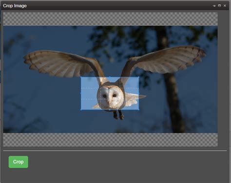 github parush imagecropper it is implementation of the cropper plugin