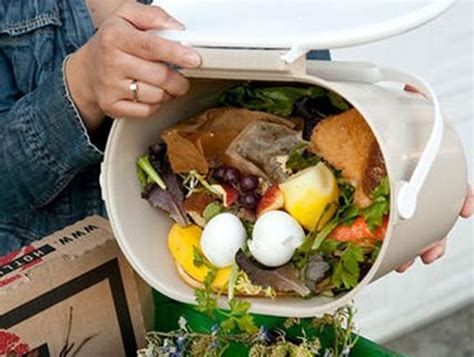 Хүнсний хог хаягдлаар бордоо хийх боломжтой