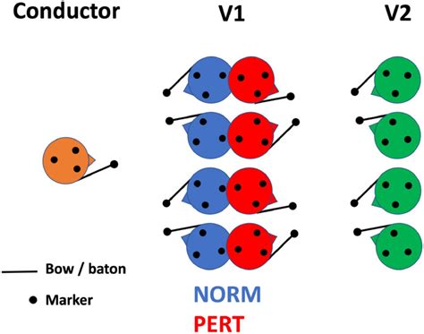 Frontiers Interpersonal Sensorimotor Communication Shapes