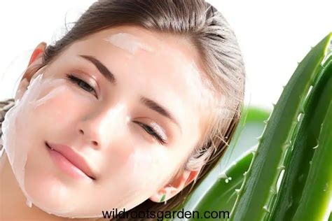 Aloe Vera On Face Overnight Benefits