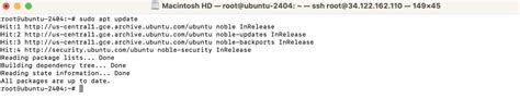 How To Install And Configure VNC Server On Ubuntu 24 04 Devtutorial