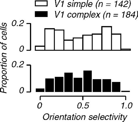 Statistics Of The Orientation Selectivity Of Simple Cells And Complex