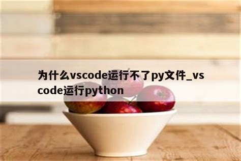 为什么vscode运行不了py文件vscode运行python 陕西卓智工作室