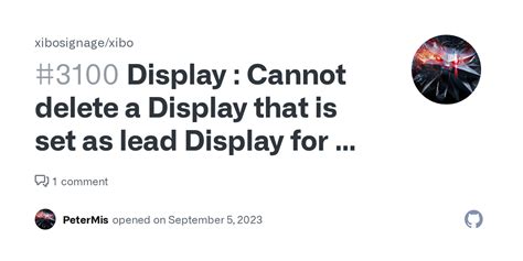 display cannot delete a display that is set as lead display for a sync group · issue 3100