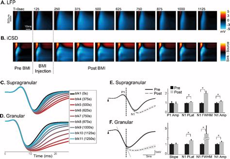bmi effect on the laminar lfp and csd download scientific diagram