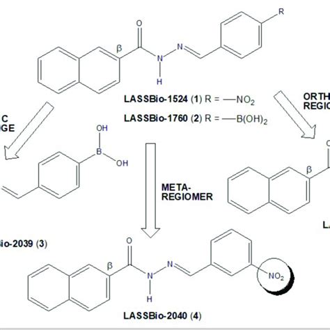 Design Concept Of Novel Naphthyl N Acylhydrazone Derivatives 3 5