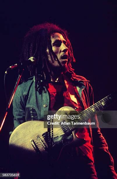 11122 Bob Marley Bob Marley Photos And High Res Pictures Getty Images