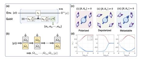 qubit coherence measurements impact on quantum environment new
