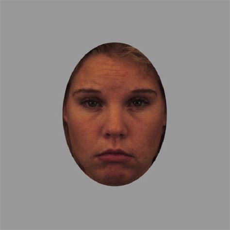 An Example Trial From The Emotion Labelling Task Participants Are