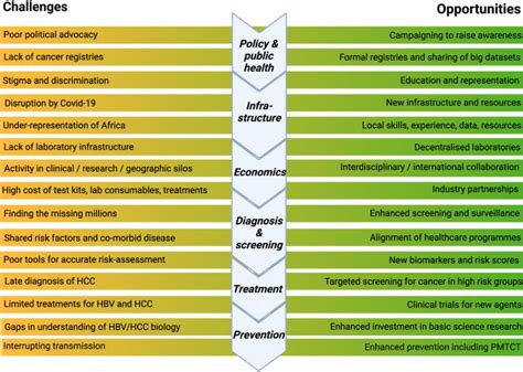 Hepatitis B Virus Hbv And Hepatocellular Carcinoma Hcc In Sub Saharan Africa No Room For