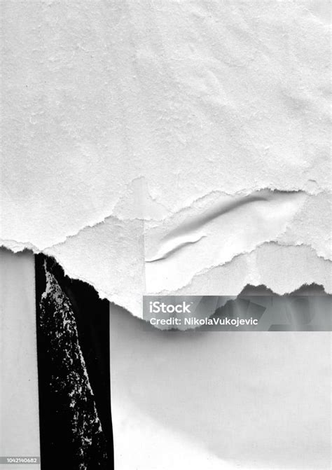빈 흰색 오래 된 찢어진된 찢어진된 종이 구겨진 주름 잡은 포스터 그런 지 질감 배경 배경 현수막 잘려지거나 찢어진 종이에 대한 스톡 사진 및 기타 이미지 Istock