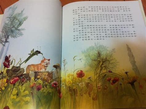 青林 繪本百寶箱 馬可 辛沙 莫札特歌劇作品 魔笛 韋瓦弟 四季 聖桑 動物狂歡節 Yahoo奇摩拍賣