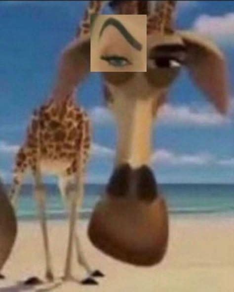 Perfectly Paused Spongebob Frames On Twitter Pearl Spongebob Spongebob Spongebob Funny