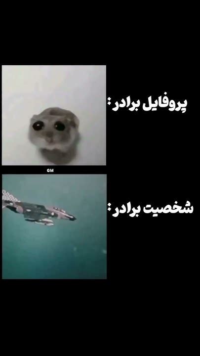 پروفایل برادر🙂شخصیت برادر☠️ Youtube