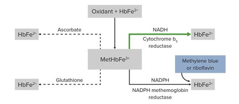Metahemoglobinemia Concise Medical Knowledge