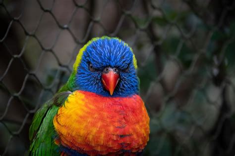 Everything You Need To Know About Nonresponse Bias And How To Overcome It