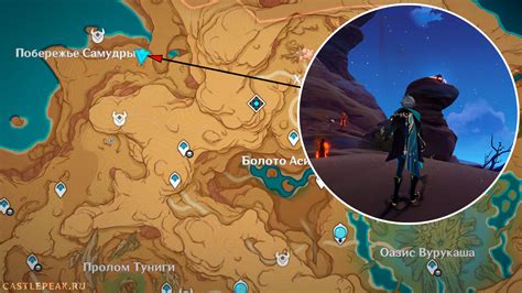 Побережье Самудры драгоценный сундук дендрокулы и оперенья