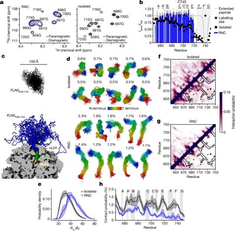 Harnessing The Ribosomes Hidden Powers Insights Into Protein Folding Joe Purita Md Posted