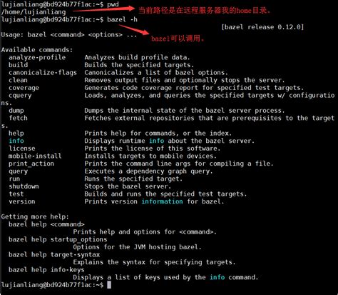 deepvariant 安装出现的问题 技术问答 tf wiki 社区