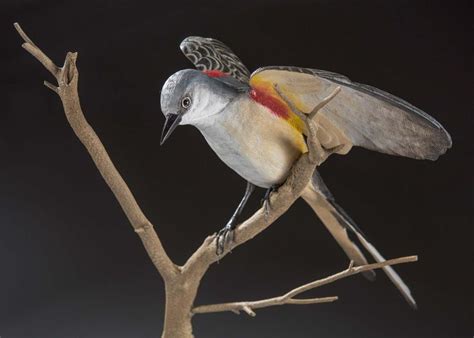 Pin En Искусство птицы