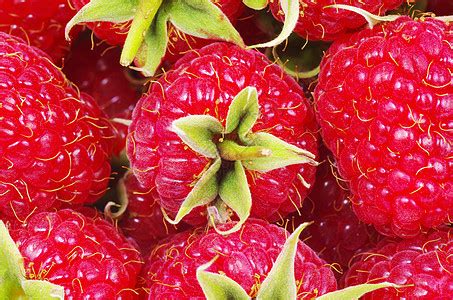 树莓草莓红色饮食食物水果营养浆果覆盆子果汁美丽白色高清图片下载 正版图片321115653 摄图网