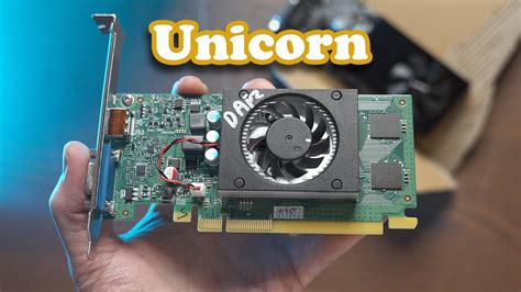 Video Testing Nvidia S Most Elusive Graphics Card Twitch Nude Videos And Highlights