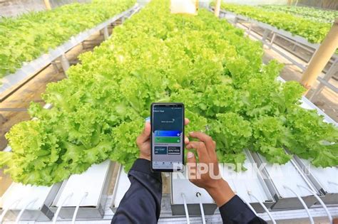 Pemanfaatan Teknologi Digital Dalam Penguatan Pengelolaan Lingkungan Hidup Desa Panda