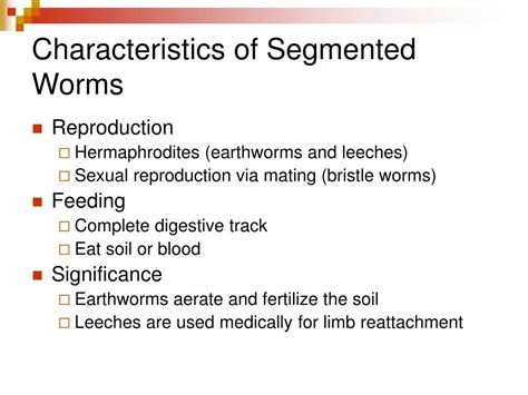 Ppt Mollusks And Segmented Worms Powerpoint Presentation Free Download Id 664735