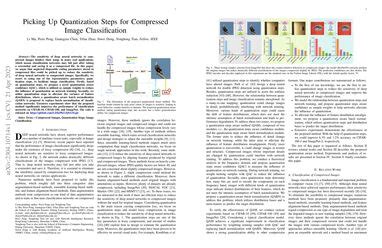 Picking Up Quantization Steps For Compressed Image Classification