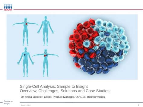 pptx analysis of single cell sequencing data by clc ingenuity single