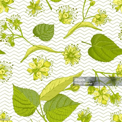 흰색 배경에 노란색과 녹색 색상의 꽃 삶과 분기와 원활한 패턴을 그린 린든 꽃 손 복고풍 빈티지 그래픽 디자인 식물 스케치