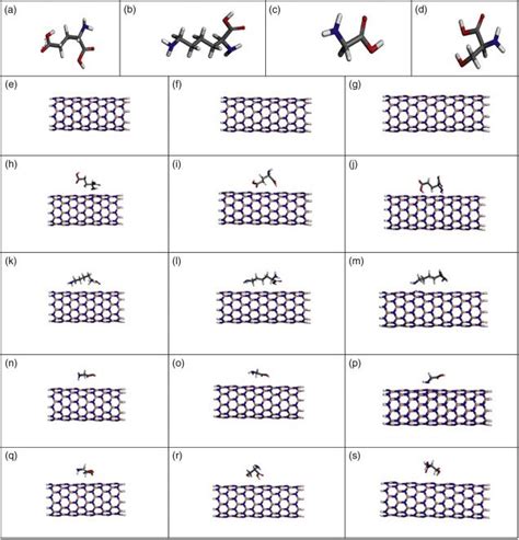 Amino Acid Deficiency An Overview Sciencedirect Topics Amino