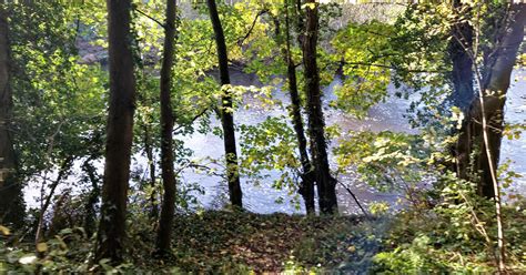 Creating An Oci Load Balancer For Apex