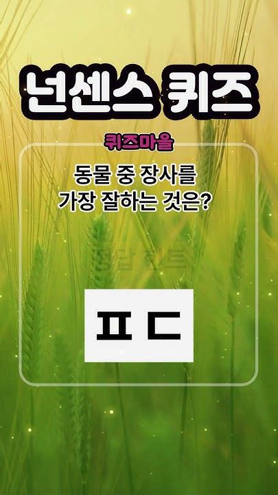 노처녀들이 가장 좋아하는 약은 넌센스퀴즈 07 넌센스퀴즈 아재개그 퀴즈마을 초성퀴즈 Youtube