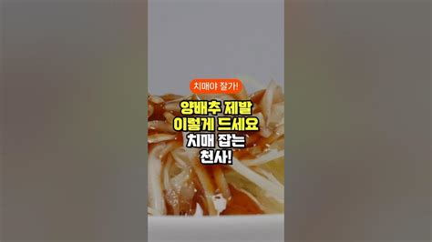 양배추 제발 이렇게 드세요 치매 잡는 천사 양배추와 함께 먹으면 좋은 음식 양배추 먹는 3가지 방법과 먹는 이유 50대 중년 이후 건강 관리 방법 3가지