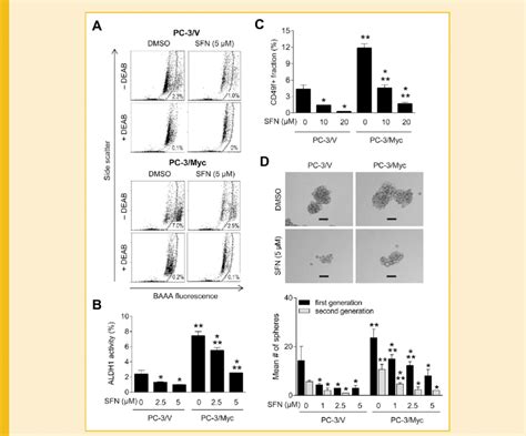 C Myc Overexpression Partly Attenuates Sfn Mediated Inhibition Of Pcsc Download Scientific