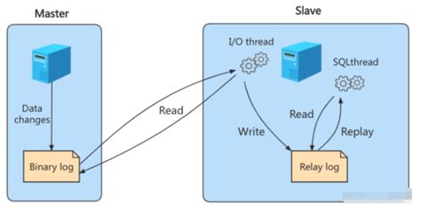 Mysql主从复制的原理及作用是什么 Mysql数据库 亿速云