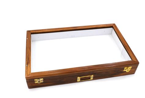 Insect Storage Box Klm Bio Scientific