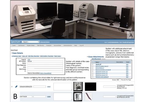 A The Instrumentation Employed In The Facility Of ASST Monza On The Download Scientific