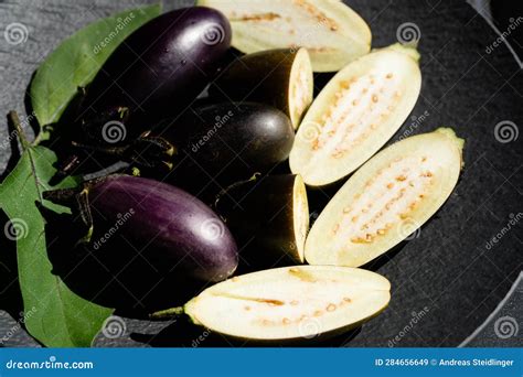 Eggplant Solanum Melongena Stock Image Image Of Farming 284656649