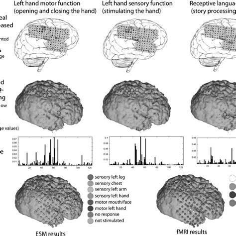 Functional Mapping Results From Three Different Mapping Modalities