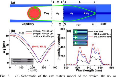 Figure 1 From Packaged Temperature Sensor Based On Fluorescent Microsphere With An Embedded