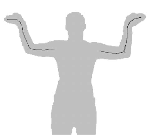 skeletonization using a closed chamfer distance transform download