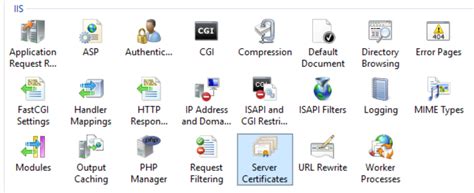 Move Or Migrate Ssl Certificate From A Windows Server To Another Nickedeye Singapore