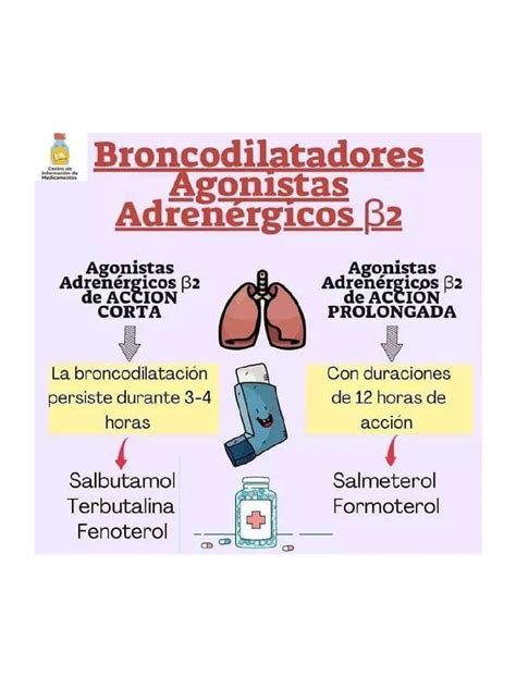 Broncodilatadores Agonistas Adrenergicos Beta 2 Pdf
