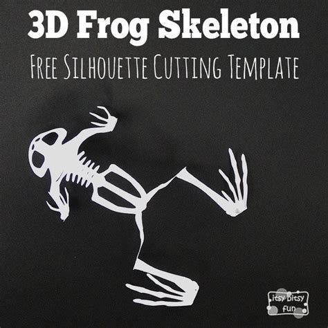 3d Frog Skeleton Silhouette Template Skeleton Silhouette Silhouette