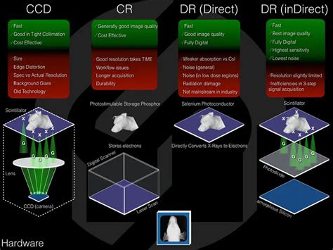 Film Radiography Vs Digital Radiography At Madeline Mair Blog
